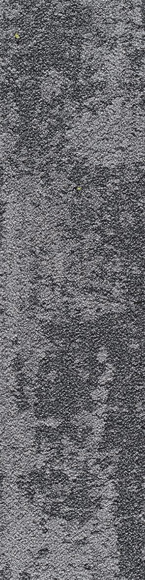 R40-2019-Sirius-Grey – Covers