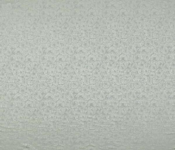 Caninia Limestone – Covers